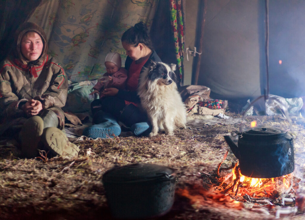 Los Nenets, el milenario pueblo nómada que persiste a la modernidad en ...
