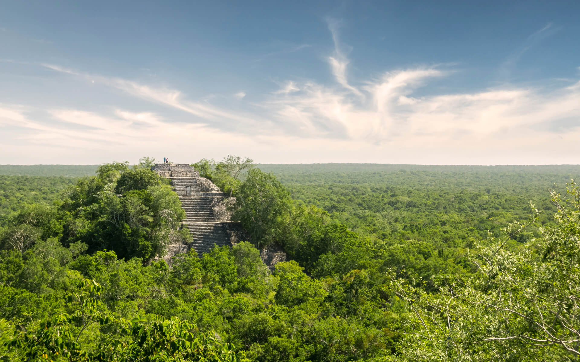 Una ciudad maya perdida entre la selva: hallan más de 6.000 estructuras ...